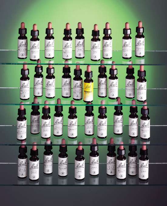 Perfumes bio, o que é isso ? - OSMOZ